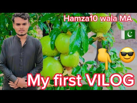 My first VILOGS 🥹new vilogs - YouTube