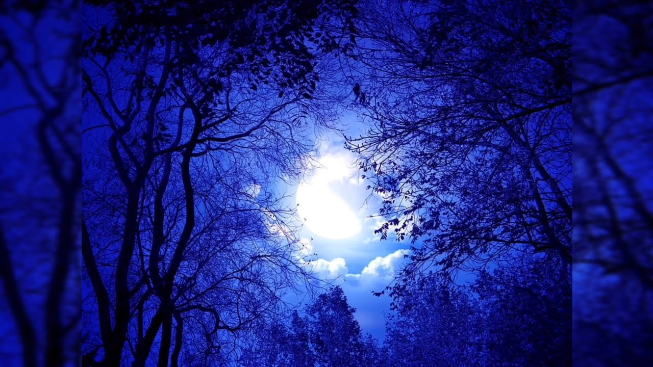 Moonlight Sonata by Beethoven Moonlight Sonata by Beethoven - YouTube