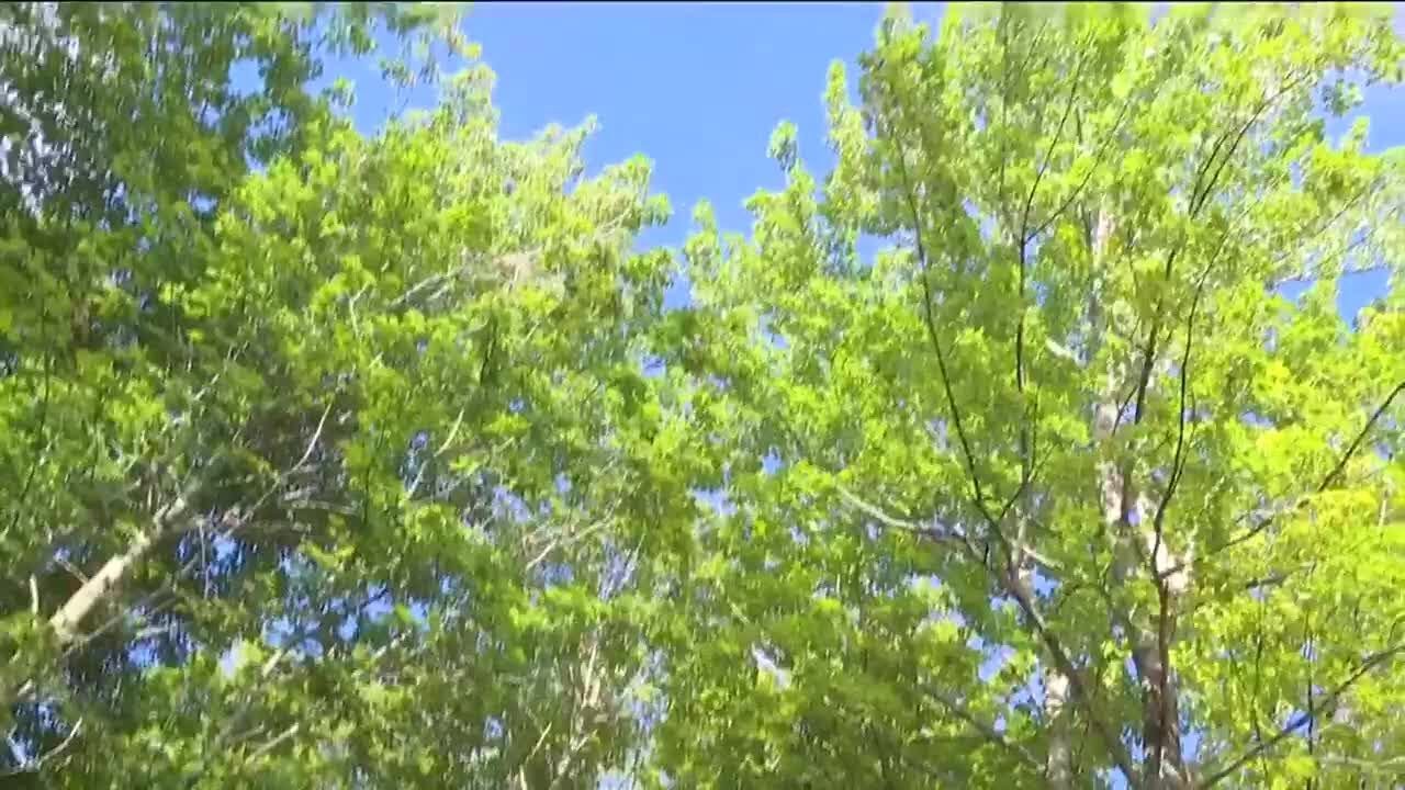 UMT Raging River Resort_Part 6 - YouTube