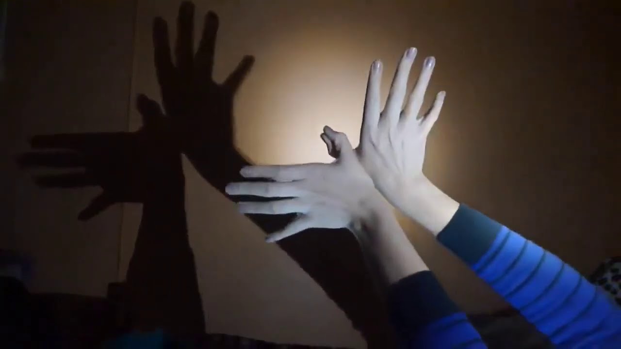 Sombras entretenidas de animales con las manos 🤲 - YouTube