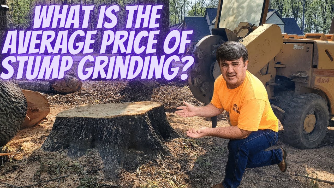 What is the Average Price of Stump Grinding? - YouTube