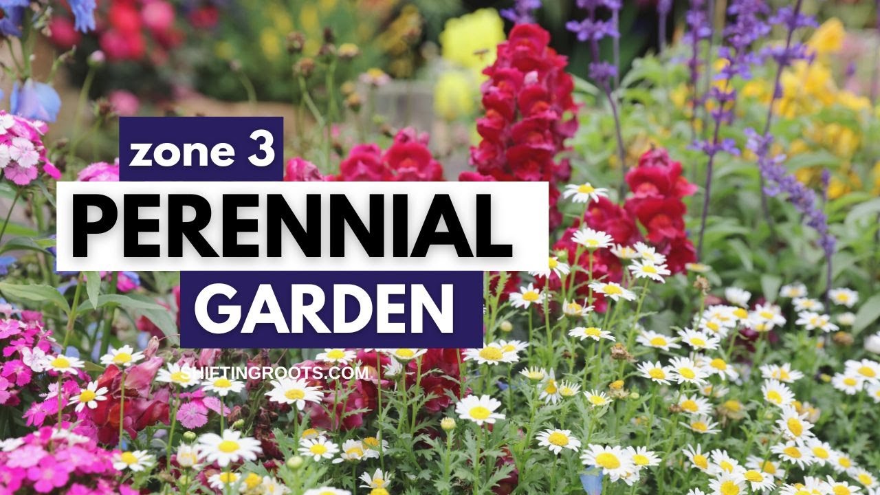 Perennial Garden Designs For Zone 3 | Fasci Garden