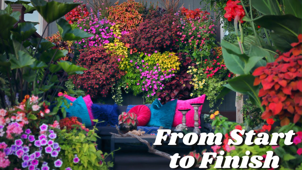 My Secrets to Container Gardening Start to Finish | Proven Winners Idea ...