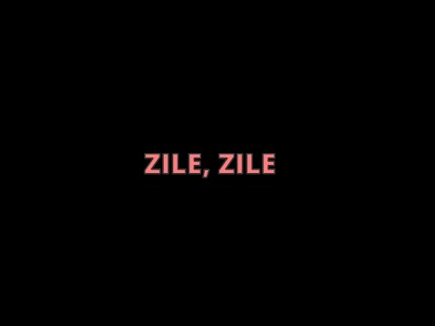 Zile Zile // black screen lyrics what's app status.. - YouTube