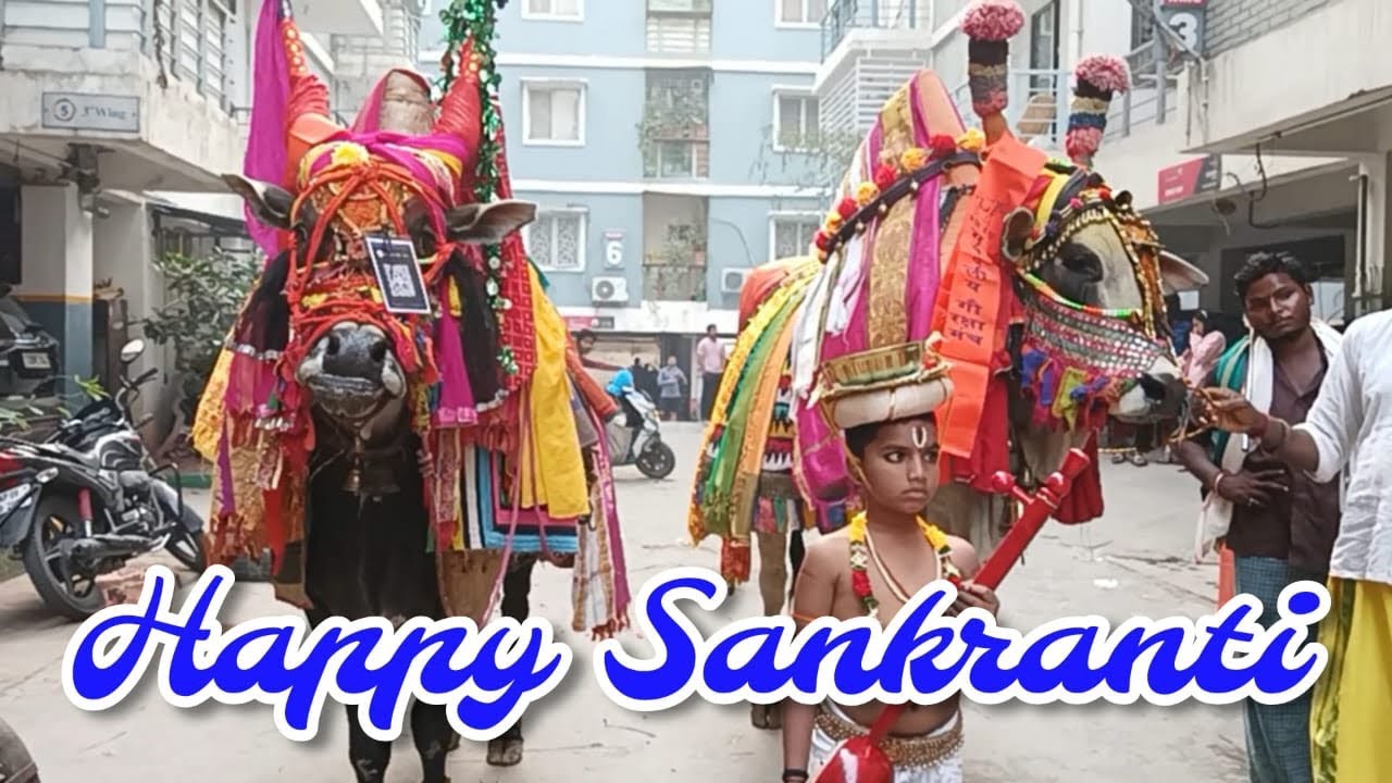 Bhogi /Sankranthi festival/Celebrations. - YouTube