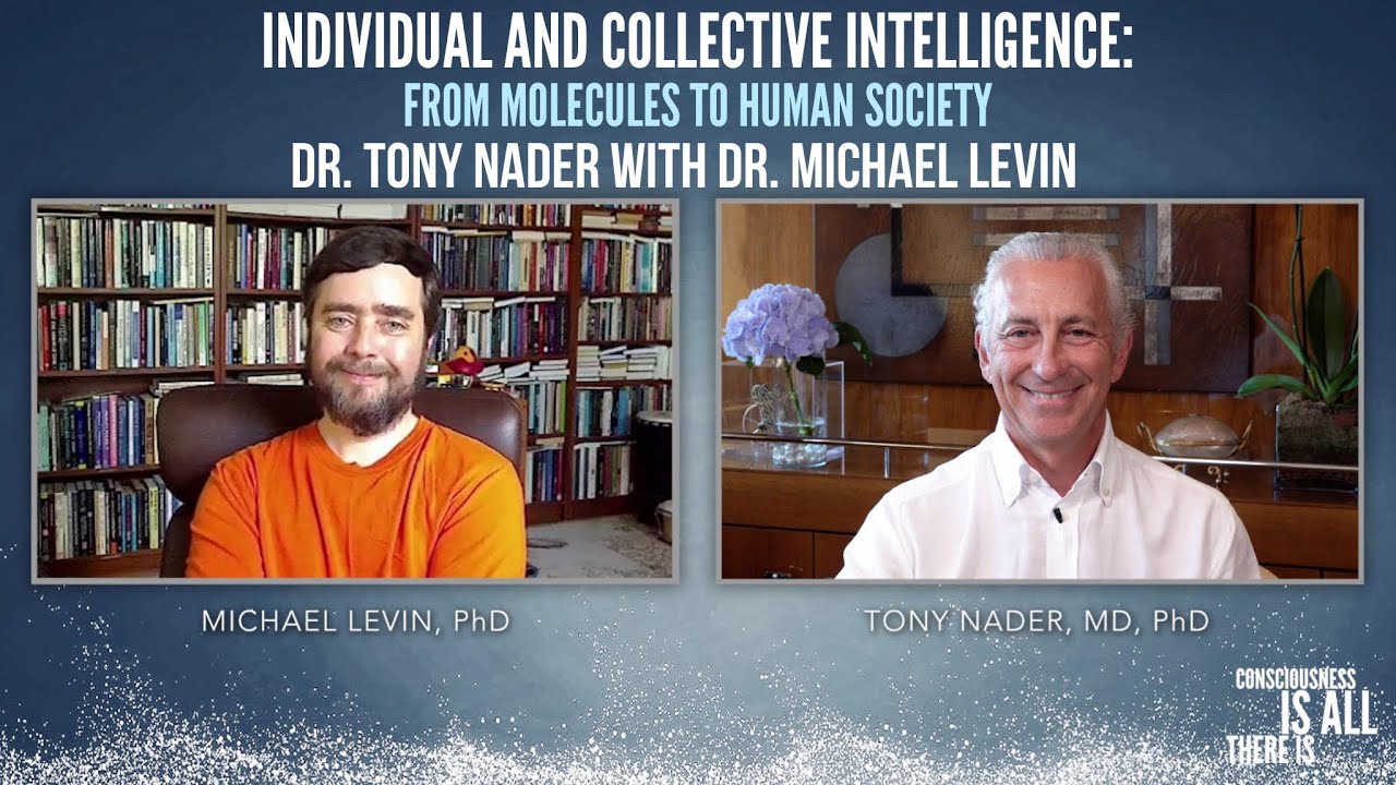 Individual and Collective Intelligence: From Molecules to Human Society ...