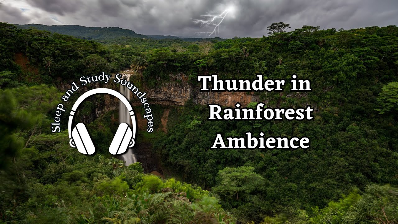 Soundscape: Rain & Thunder in a Forest Ambience | 10 Hours of Natural ...