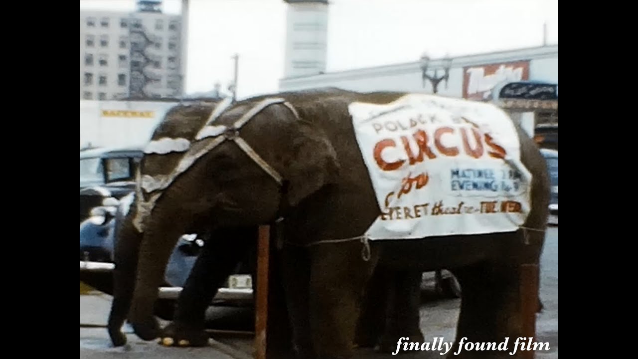 Vintage 1940s Polack Bros Circus elephant home movie clip Everett WA ...