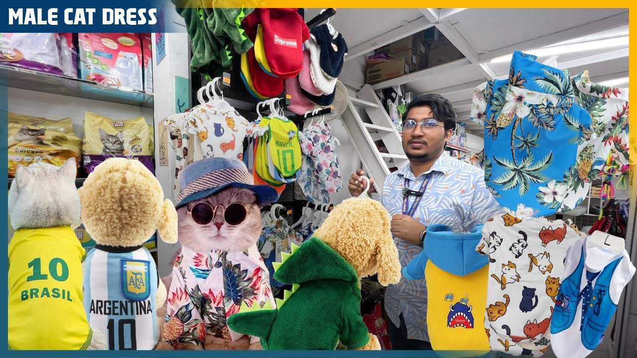 Best Cat Dress || Male Cat Dress || Shokher Tola 80TK || Petshop In BD ...
