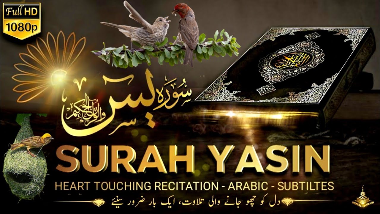 Surah Yasin [Yaseen] Full in beautiful Voice - Holy Quran Recitation ...