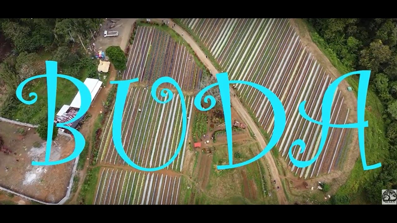 BUDA (Bukidnon-Davao) in 12 Hours(Sea of Clouds,Bemwa Farm,Overview ...