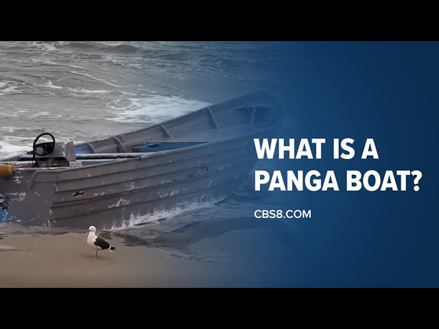 Japanese Panga Boats Commercial Chinese 6.4m 21FT Japan New Design