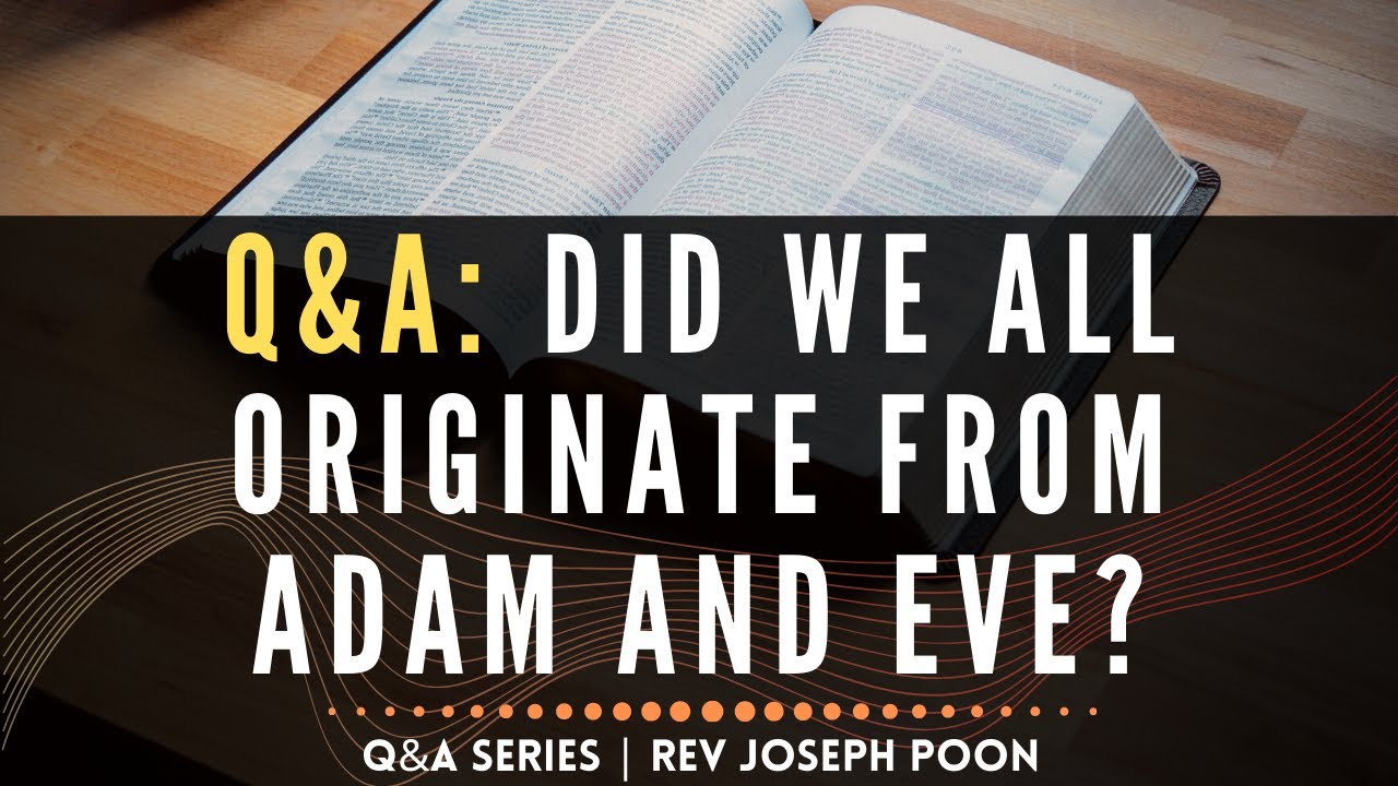 Noah 2024 Adam And Eve
