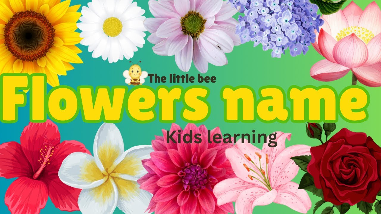Kids Learning Flower Names | Help kids to identify flowers | Preschool ...