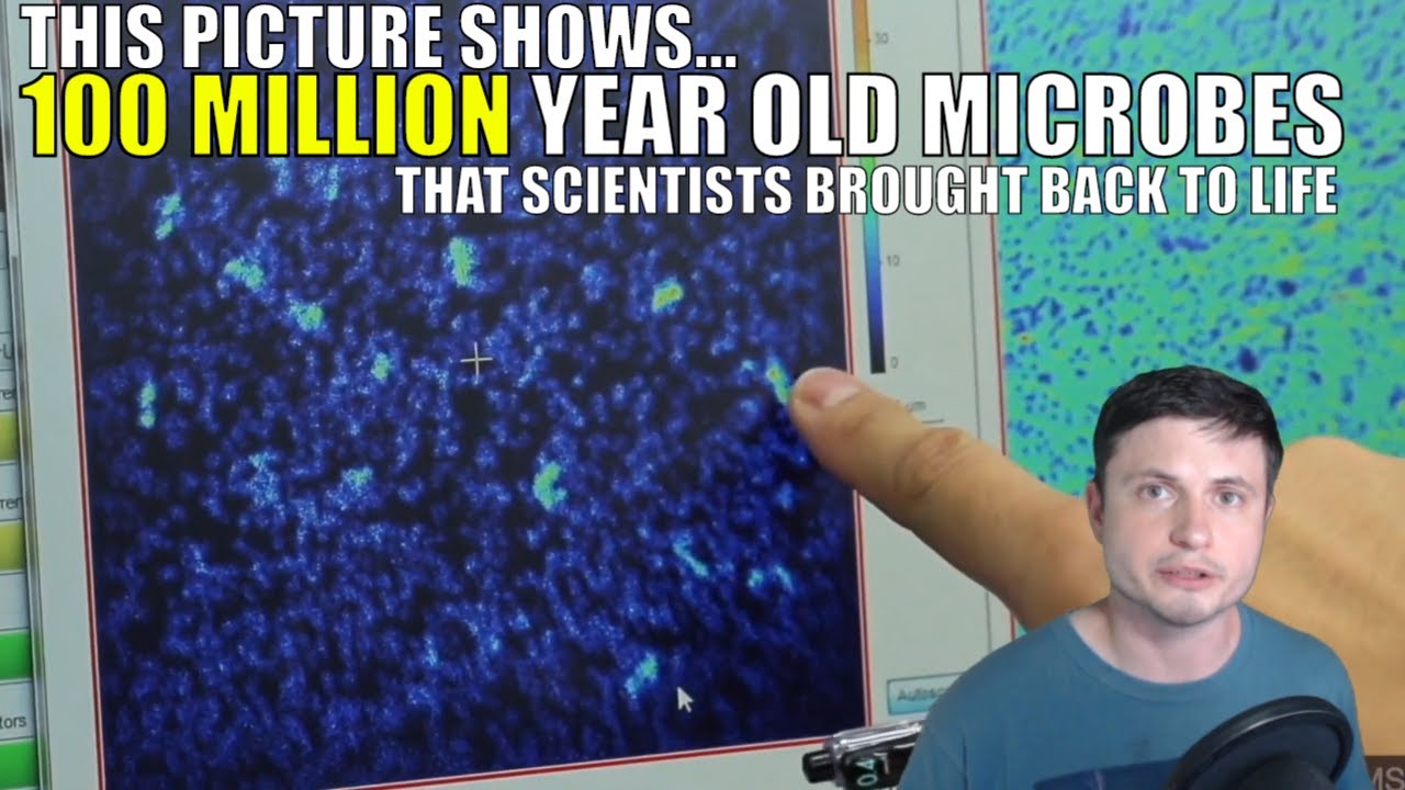 101 Million Year Old Microbes Were Brought Back to Life by Scientists ...