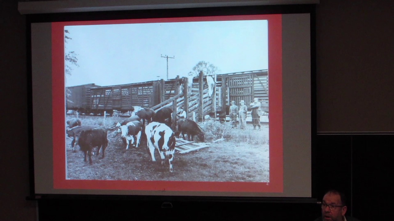 Jonathan Dekel-Chen - Jewels from the Earth - YouTube