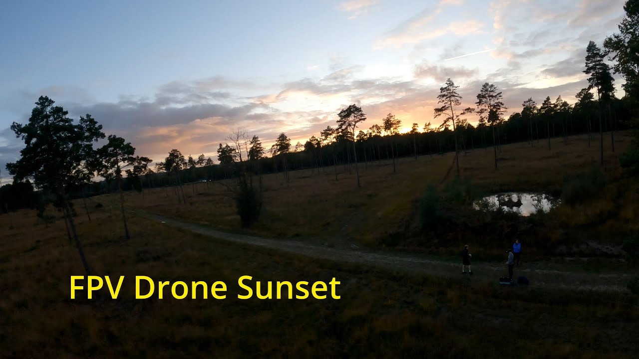 Sunset Flight With Dog ~ FPV Drone - YouTube