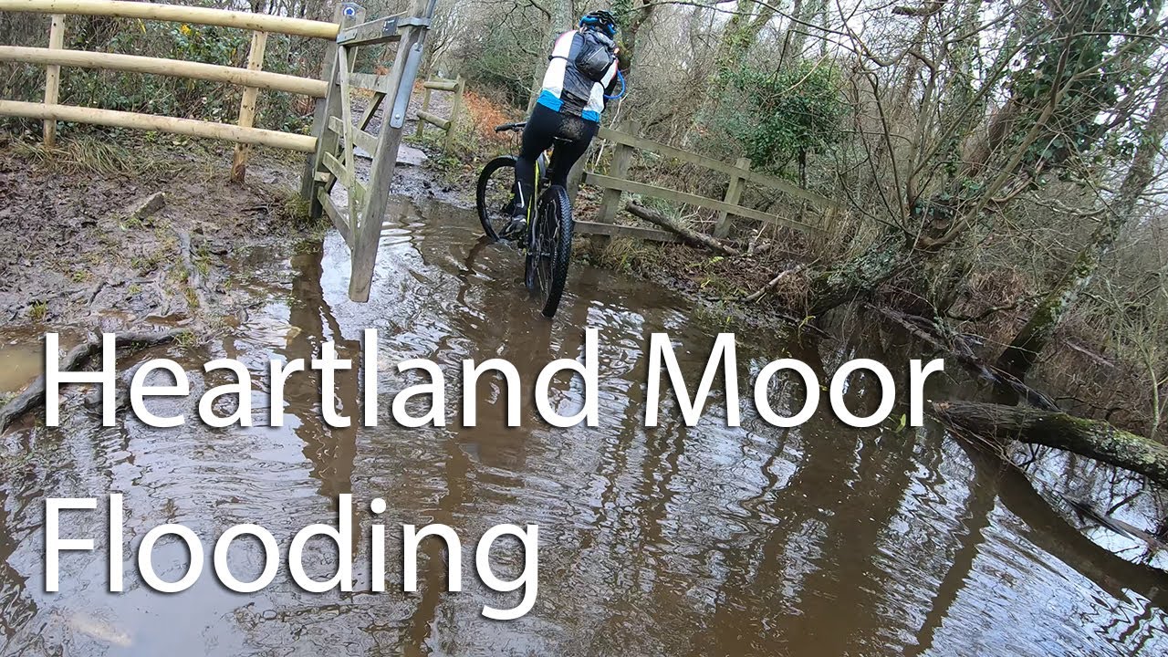 Rempstone Forest and Heartland Moor flooding - YouTube