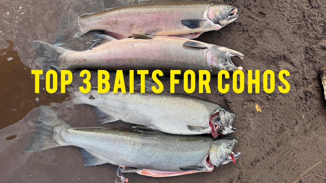 3 WAYS TO CATCH COHO SALMON - and WHAT NOT TO DO! - YouTube