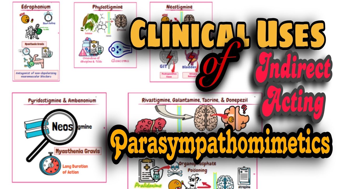 Parasympathomimetics: Clinical Uses of Indirect acting cholinergic ...