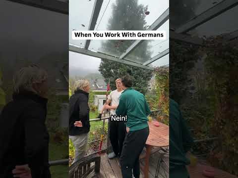 When You Work With Germans