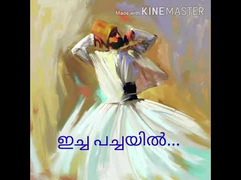 Icha pachayil ഇച്ച പച്ചയിൽ sufi song സൂഫി ഖവാലി
