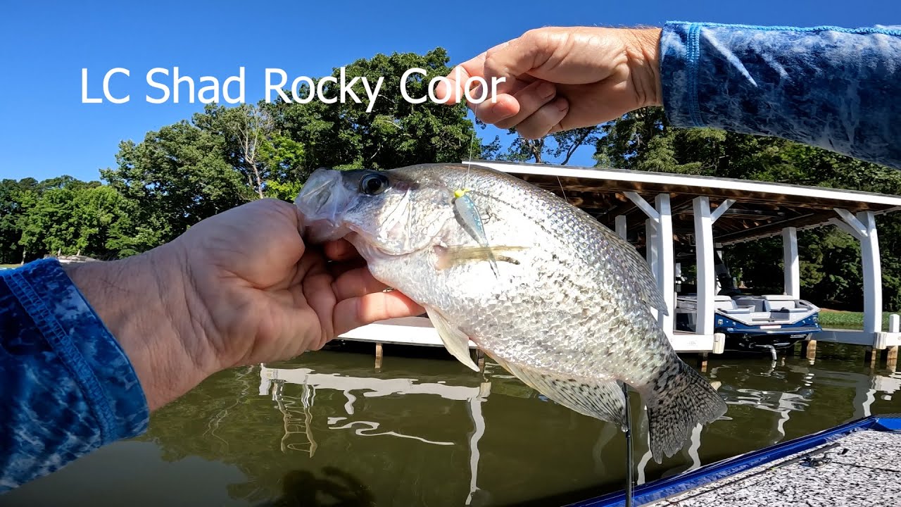 Slab Buster LC Shad Lake Country Baits - YouTube