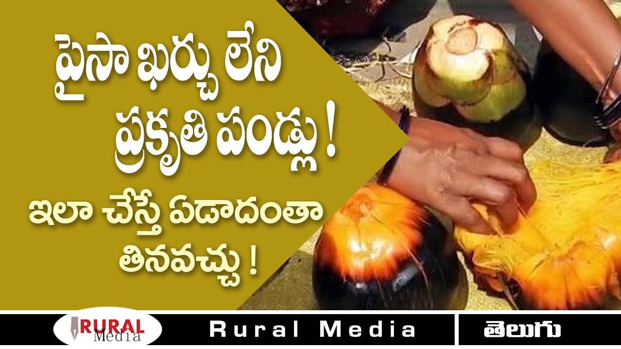 పైసా ఖర్చు లేని ప్రక్రుతి ప్రసాదం | How to make thati chaapa | Recipe ...