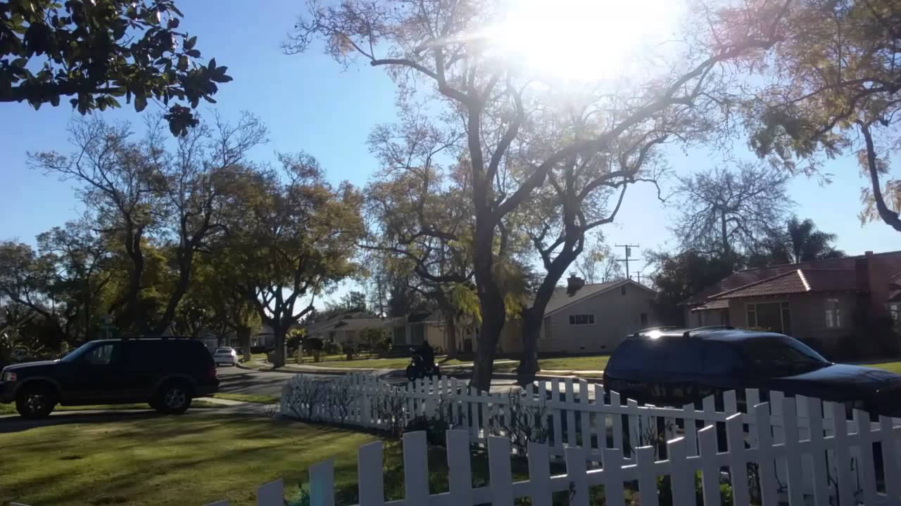 2015 Dyna Street Bob, Bassani Radial Sweepers, Arlen Ness Heavy ...