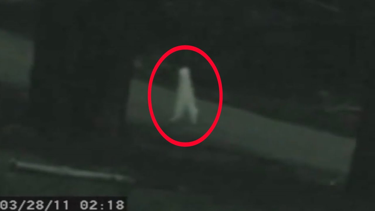 Top 5 Fenómenos Paranormales Captados En Cámara (2da Parte) - YouTube