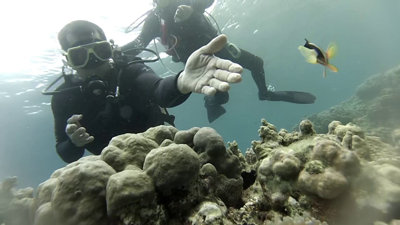My first Diving ! - YouTube