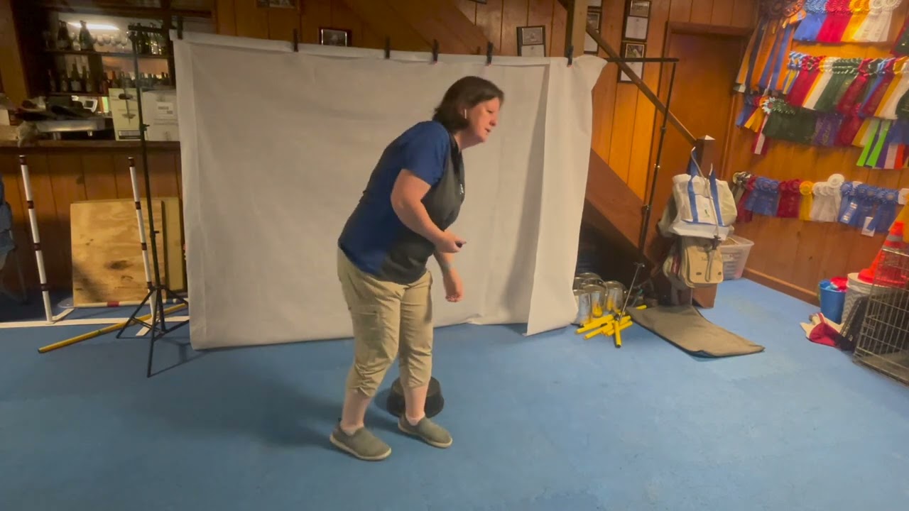 Cara Pivot Bowl - YouTube