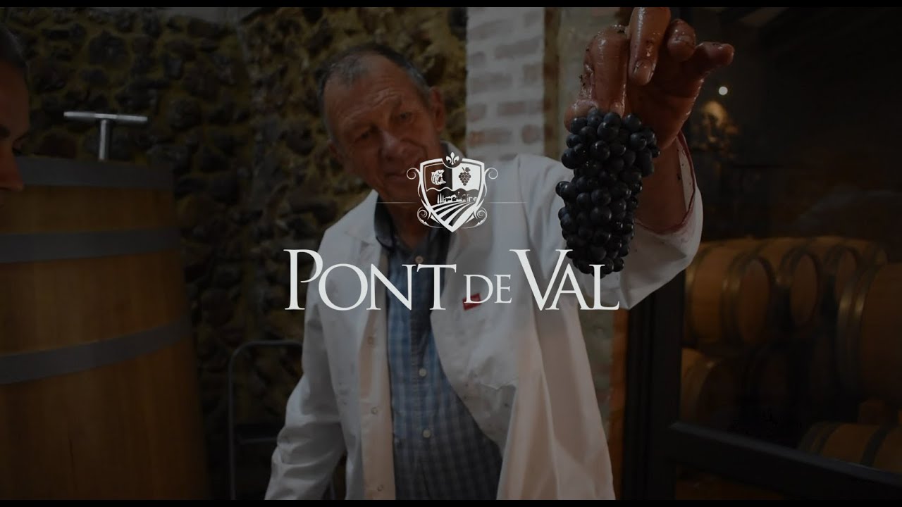 Winemaking begins at Pont de Val! - YouTube