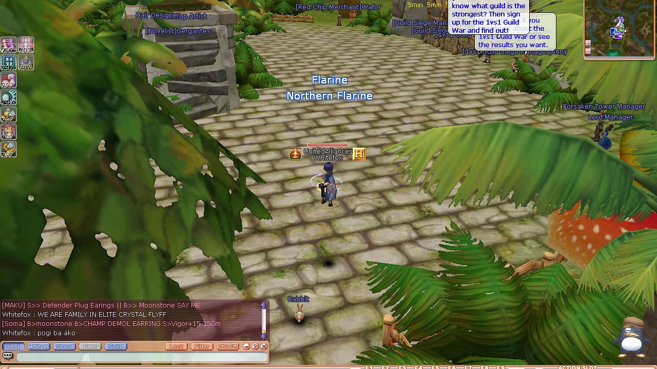 Elite Crystal Flyff - YouTube