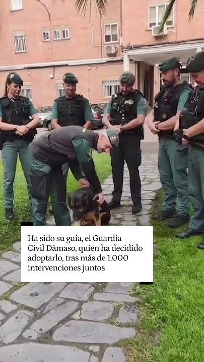 La emotiva despedida de la Guardia Civil a Donald, un perro que se jubila tras 11 años de ...