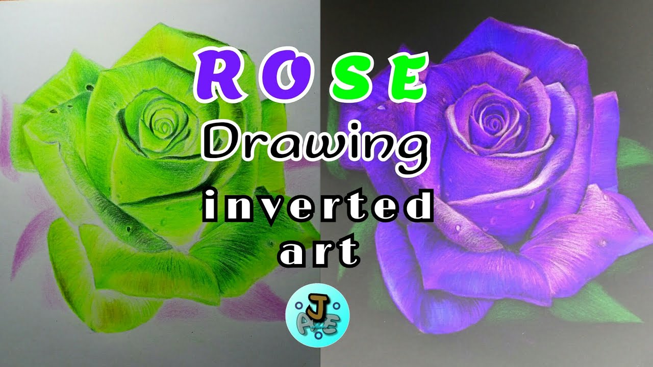 Rose Drawing Inverted Art - YouTube