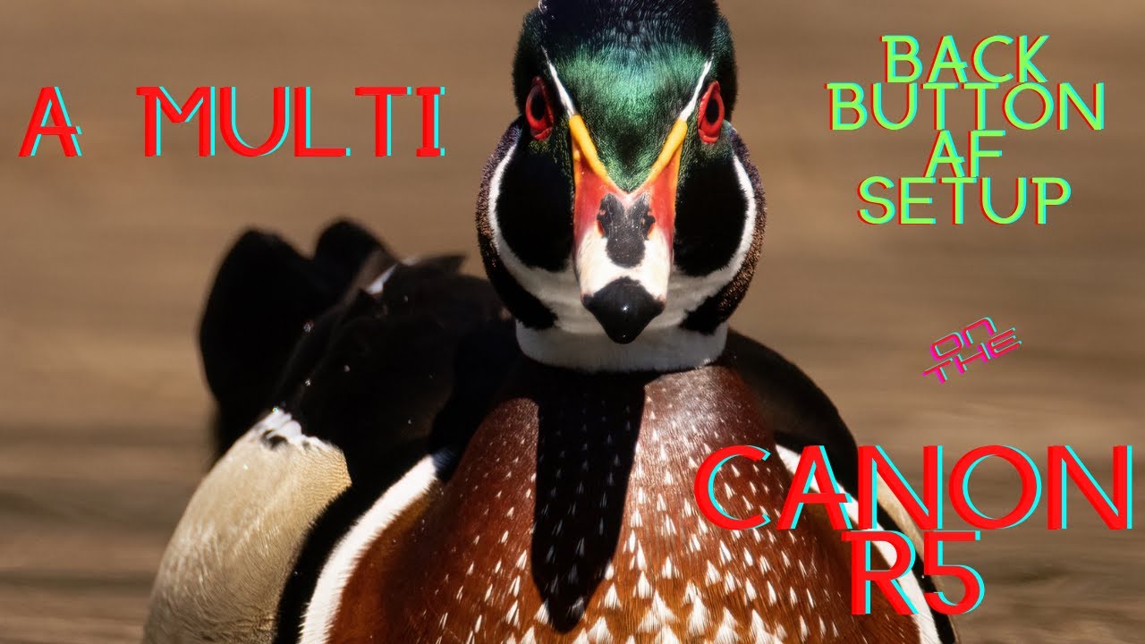Canon R5 Back Button Autofocus Setup - YouTube