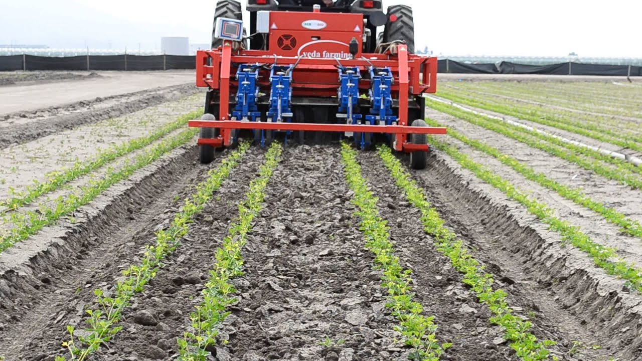 Remoweed: Automatic Weeder - YouTube