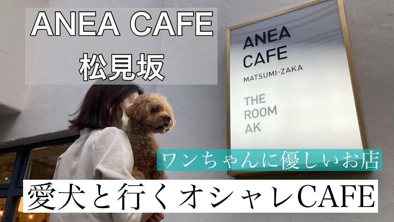 【ペット店内OK】ドラマsilentで話題の聖地！一度は行きたい都内の写真映えするオシャレカフェ/ANEA CAFE松見坂/オススメは人気のコーヒーゼリー - YouTube