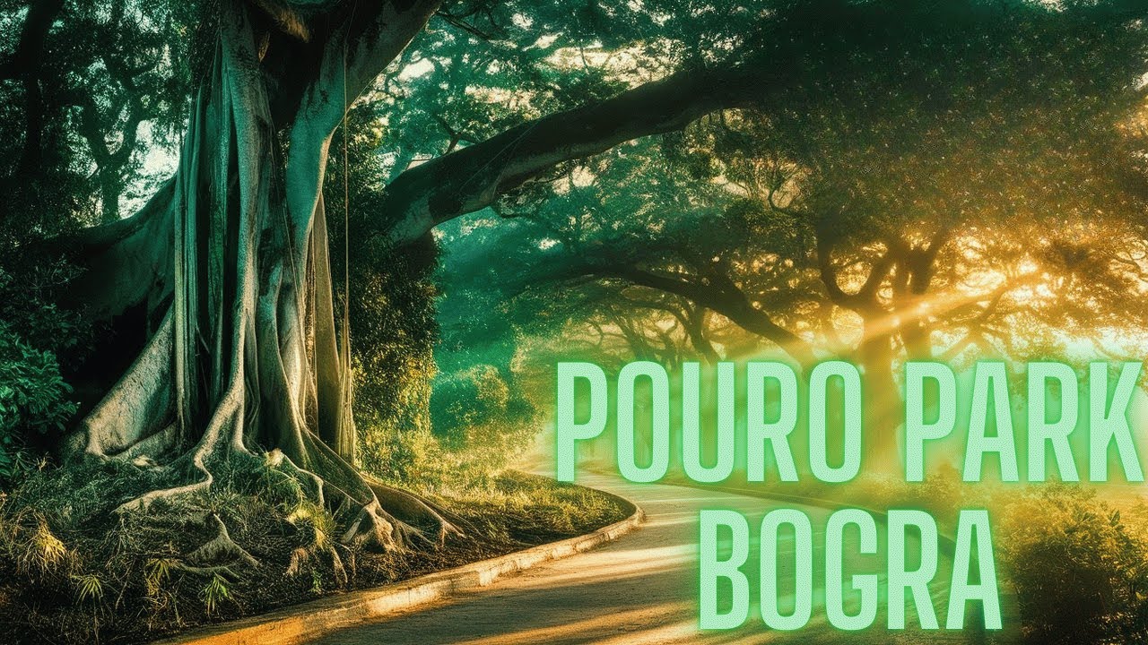 I Walked Bogra's Pouro Park Street || Here's What I Discovered - YouTube