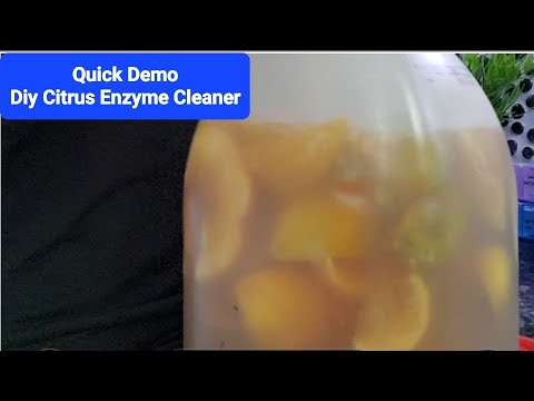 Quick Demo: Citrus Enzyme Cleaner - YouTube