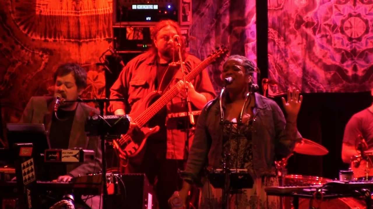Mickey Hart Band