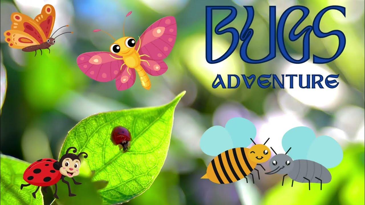 Top Bugs|Common Bugs|Bugs Adventure|Journey Through the Bug World ...