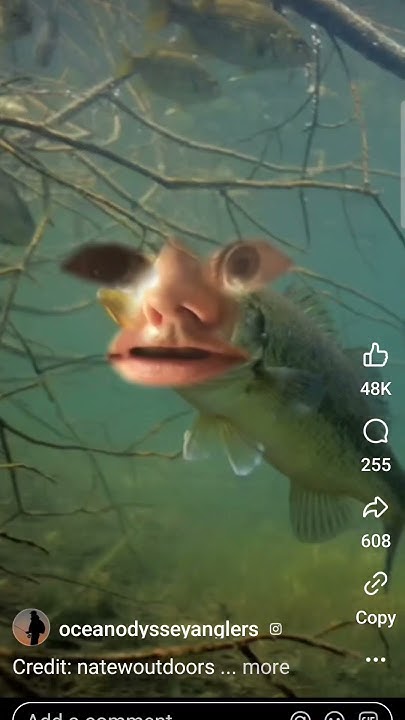 too funny to not share - YouTube