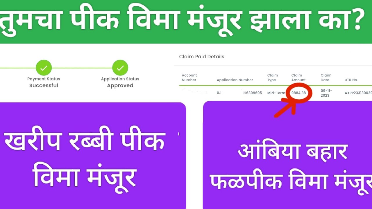 Pik Vima | आंबिया बहार फळ | Pik Vima Status | PMFBY | Pradhan Mantri ...