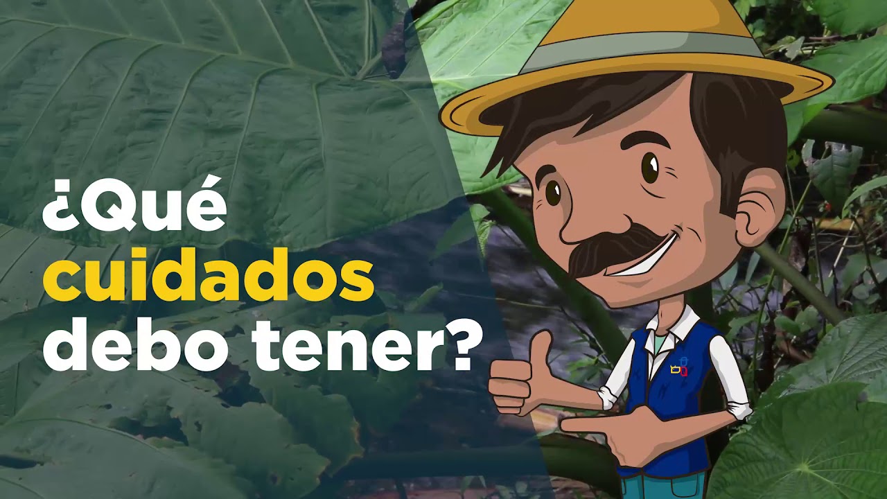 ¿Qué es un Rodiluvios? - YouTube