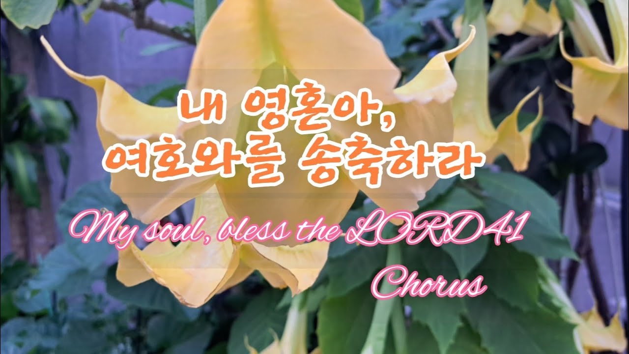 내 영혼아 여호와를 송축하라 Chorus Youtube