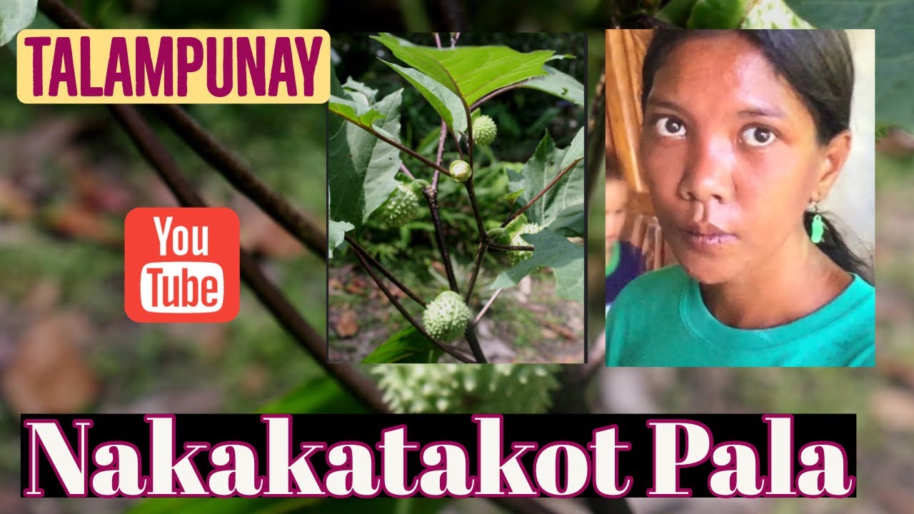 #kalingapRAB KATAS NG TALAMPUNAY NAKAKATAKOT,may masama g ipekto sa ...