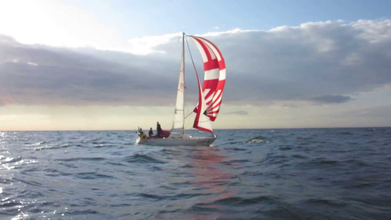 Albin Accent 26 s/y 2 easy Regaty Sailbook Cup 2015 - YouTube