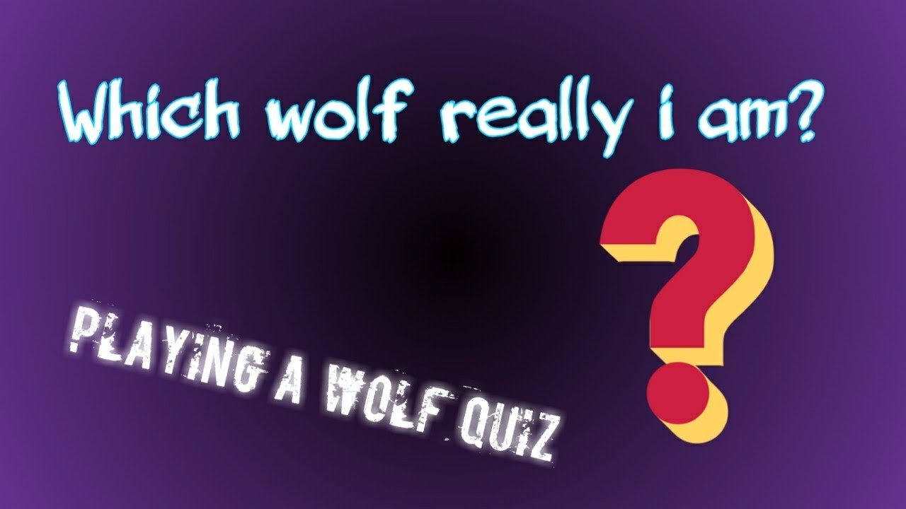Lol playing a wolf quiz lets find out which wolf i really am!? - YouTube